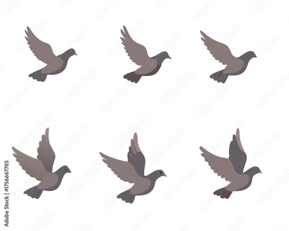 Pigeon animation. Bird motion wings in heaven, birds sequence frame ...