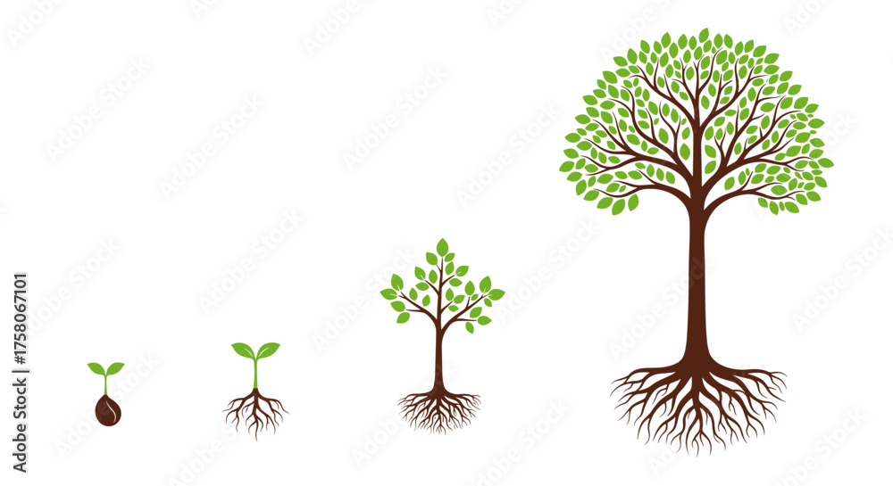 The visual representation of plant growth from a seed to a fully ...