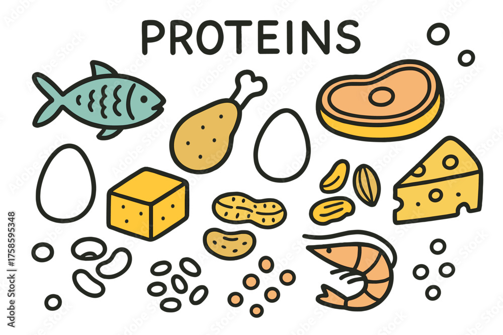 Protein-Rich Foods Collection. Proteins. Hand-drawn doodle illustration ...