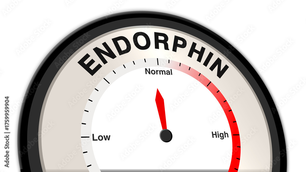 Endorphins at normal levels, shown on a barometer or tachometer ...