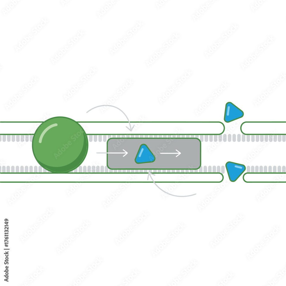 Vector de Stock Illustration depicting the transport of a molecule ...