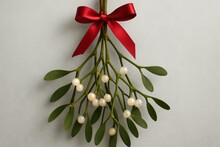 Mistletoe With Red Ribbon Bow Free Stock Photo - Public Domain Pictures