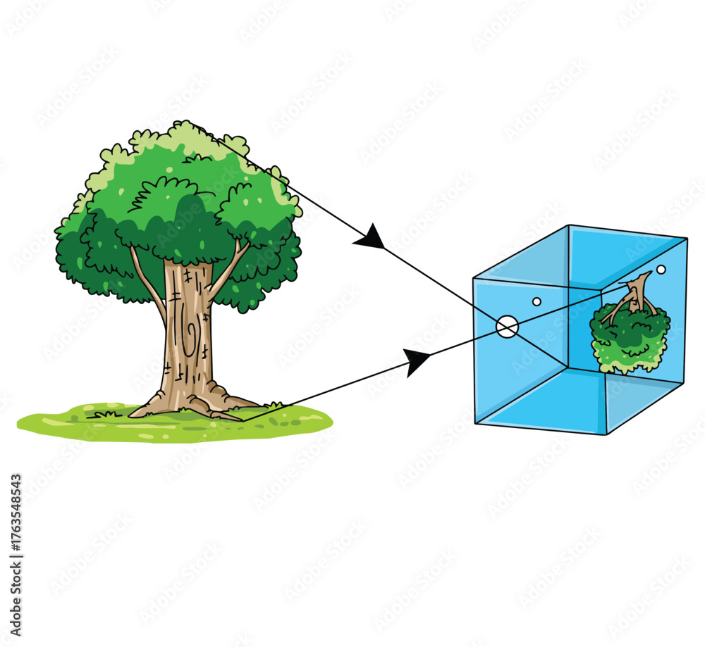 Science of hand drawn vector diagram of pinhole clipart. の Stock ベクター ...