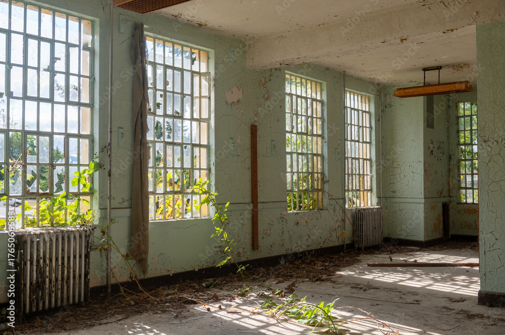 Northern State Hospital is a historic hospital campus in Sedro-Woolley ...