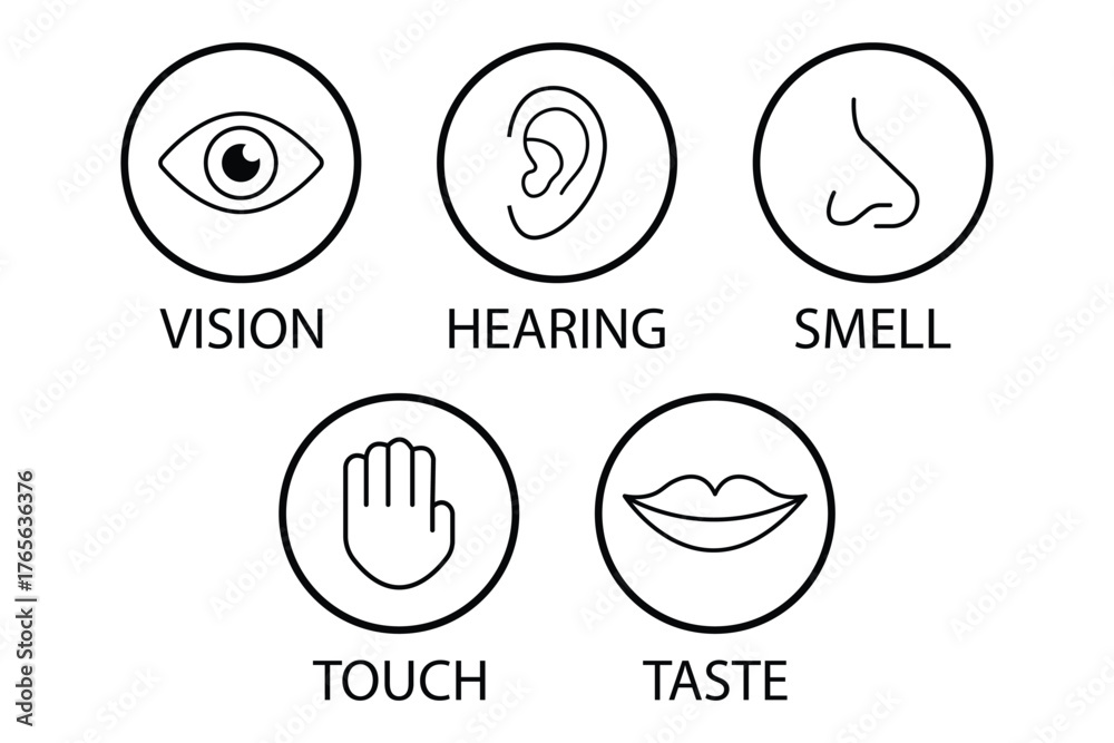 Human senses icon set. Vision eye, smell nose, hearing ear, touch hand ...