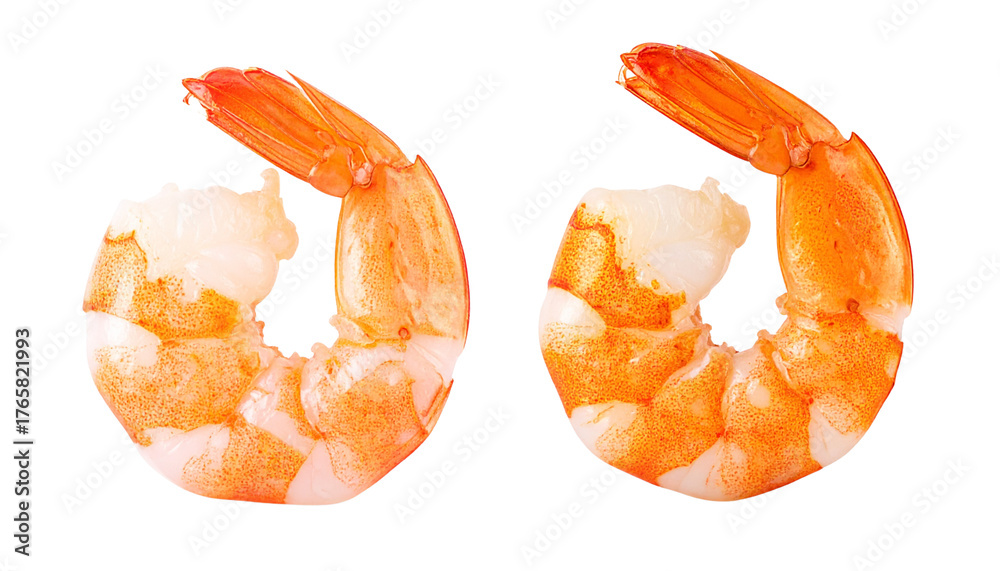 Two shrimp or prawn variations placed next to each other in one frame ...