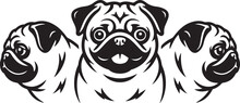 Pug Dog Portrait Free Stock Photo - Public Domain Pictures