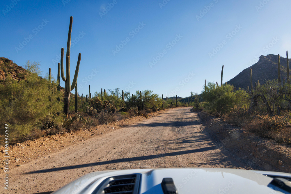 The iconic Bajada Loop Drive in Arizona's Saguaro National Park. Stock ...
