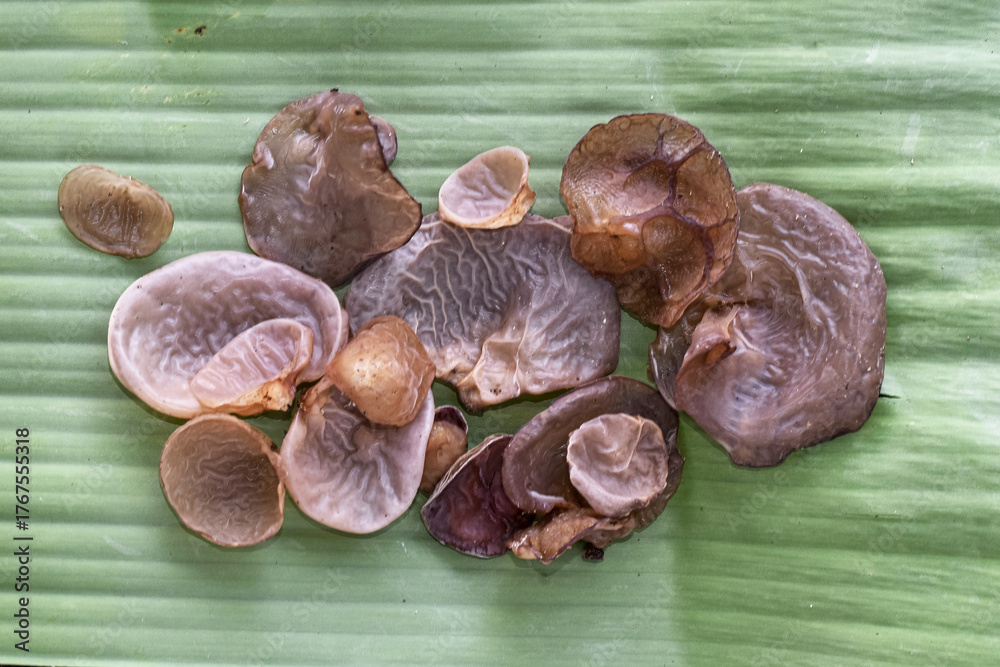 Ear fungus (Auricularia auricula) is a traditional herbal medicine ...