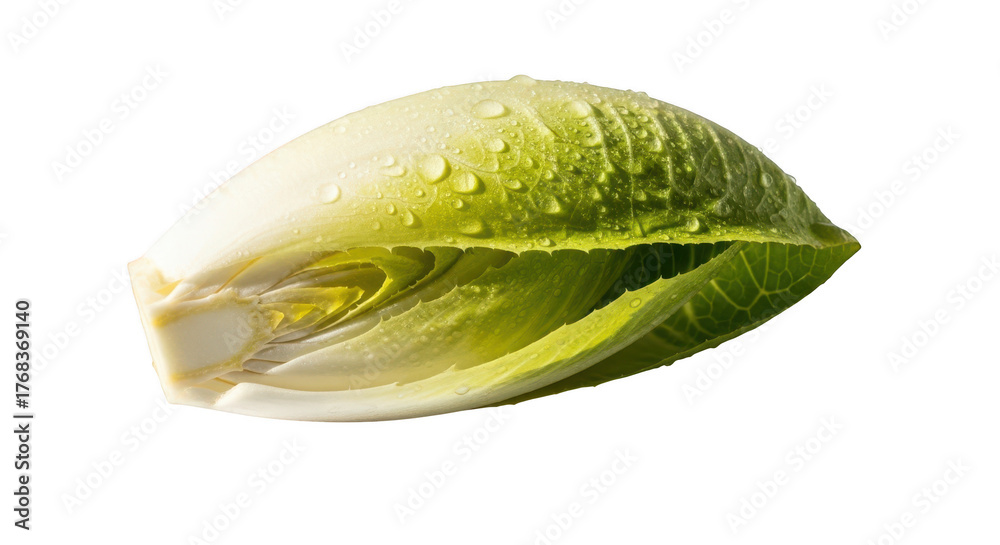 Fresh green endive leaf isolated on transparent background for healthy ...