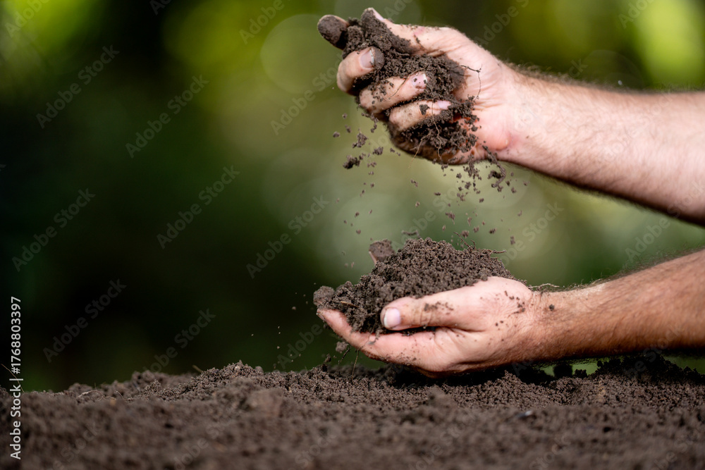ภาพถ่าย Stock Hands holding fertile soil close-up. Checking soil. Dirty ...