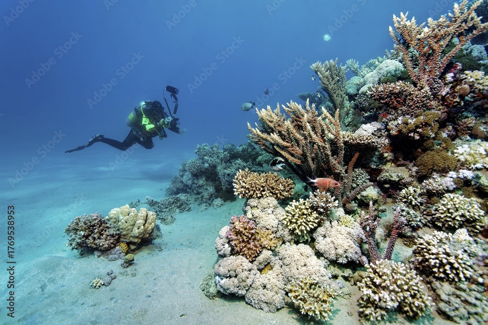Underwater photographer, diver with underwater camera, camera ...