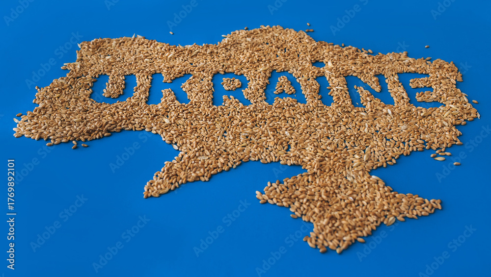 Map of Ukraine and the country's name formed from wheat grains. Grain ...