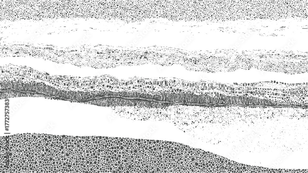 Abstract monochrome pattern of layered textures with organic shapes and ...