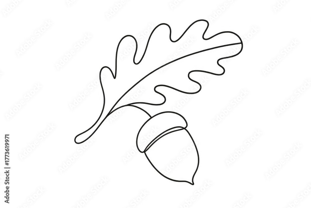 Oak leaf and acorn drawing outline. Autumn nature plant element with ...