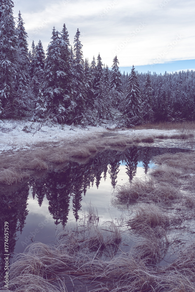 Tjuvåstjernet Lake with the outflow of Olterudelva River, part of the ...