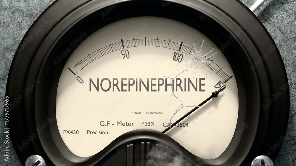 Illustration Stock Norepinephrine meter showing high levels of ...