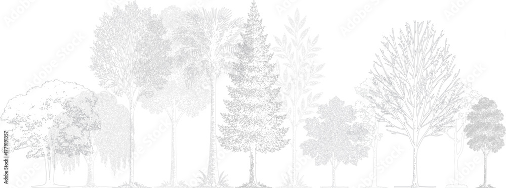 Vektor Architectural landscape elevation drawing with detailed tree ...