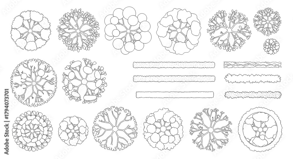Collection of various top-down line drawings of trees, shrubs, and ...