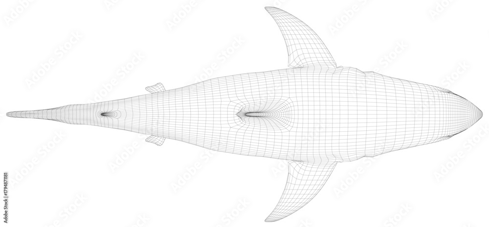 Great white shark wireframe 3D model on a white background. This ...