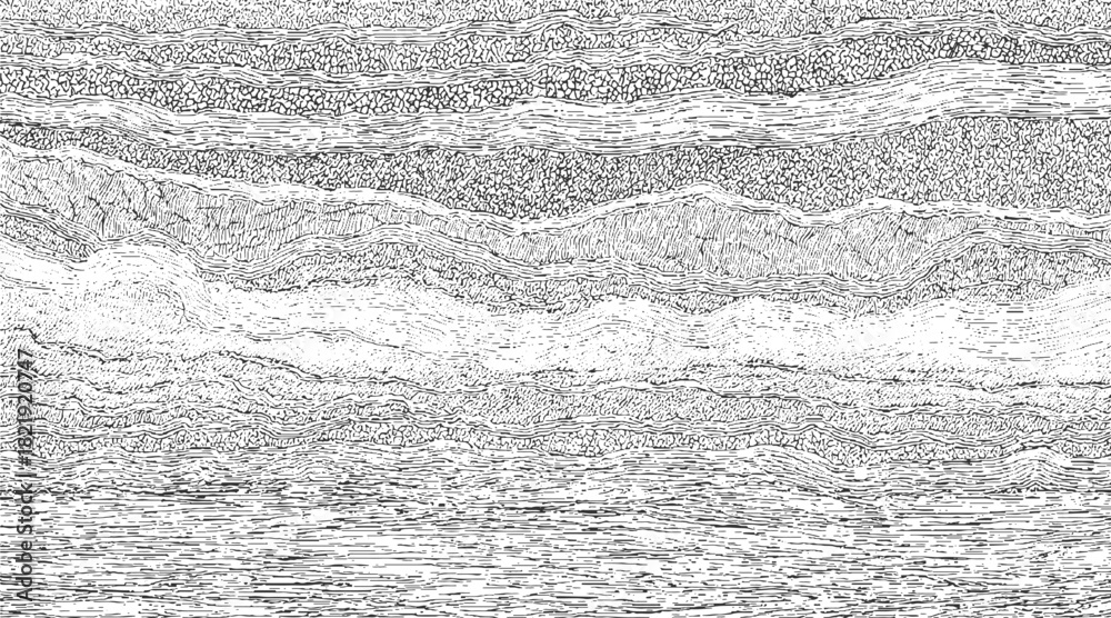 Black and white cross section of geological strata with wavy lines and ...