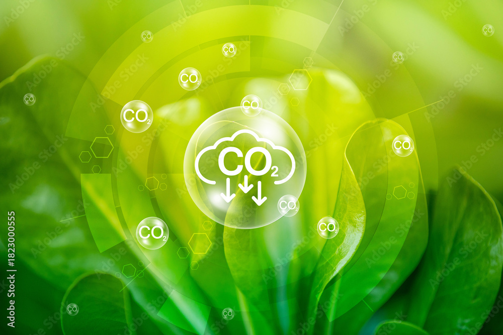 Concept of carbon capture (CO2) by plants, showing digital icons of ...