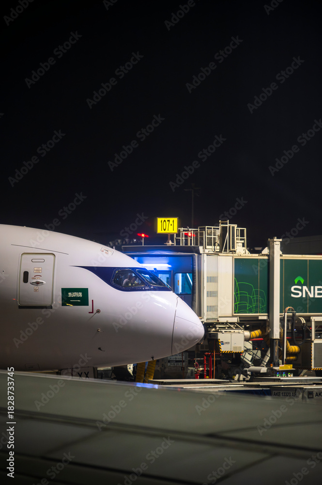 Riyadh, Saudi Arabia - November 25, 2025: Airplane on the Tarmac of ...