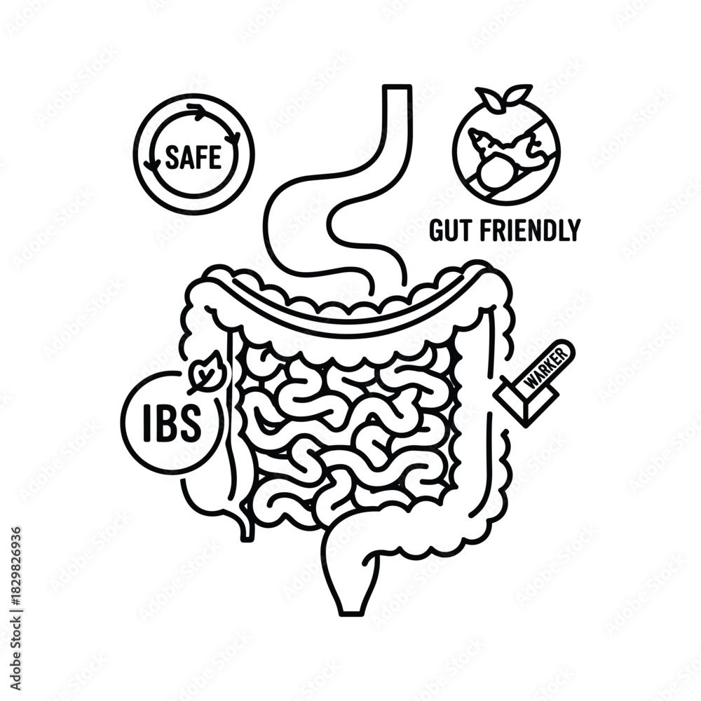 Line art illustration of human intestines with icons for safe, gut ...