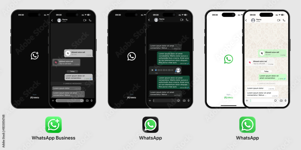WhatsApp and WhatsApp Business UI screens with chat, calls and status ...