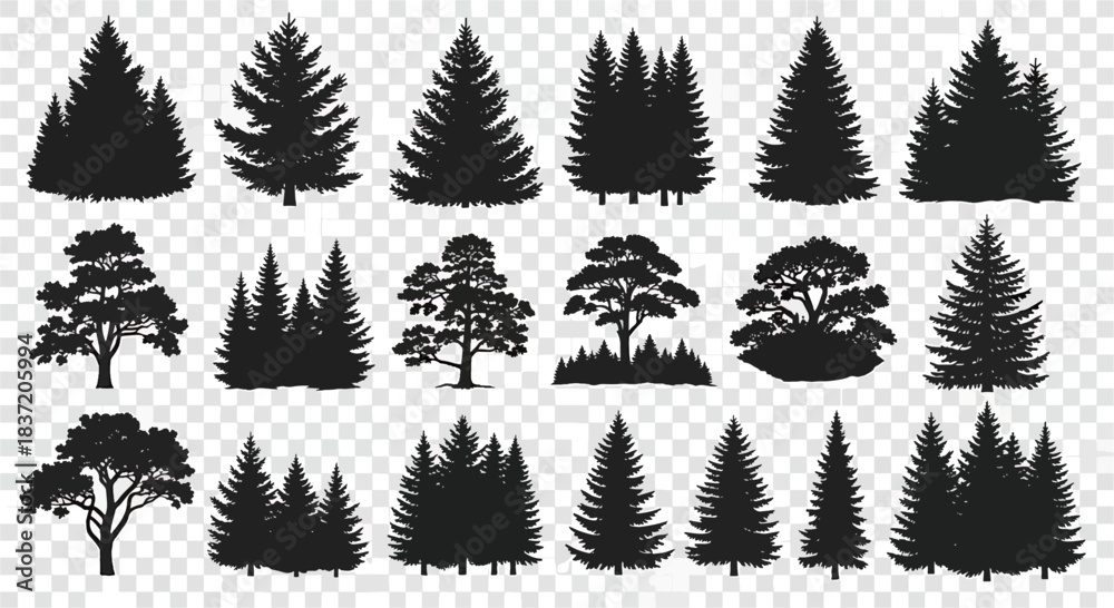 Stock-Vektorgrafik „Collection of Silhouette Trees Evergreen and ...