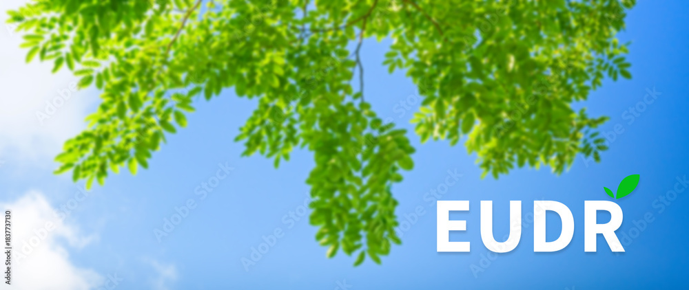 Stockfotot EUDR Environmental Responsibility and drinking coffee in ...