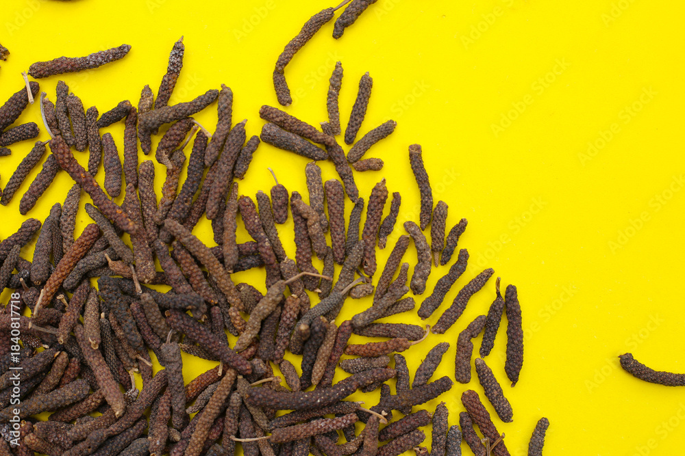Long pepper (Piper longum), a spice used in traditional medicine and ...