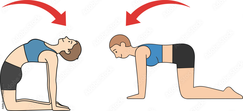 Exercise diagram illustrating proper form for improving back ...
