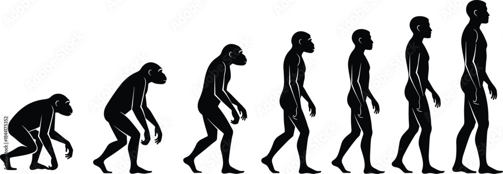 Human Evolution Silhouette Sequence Showing Primate To Modern Man ...