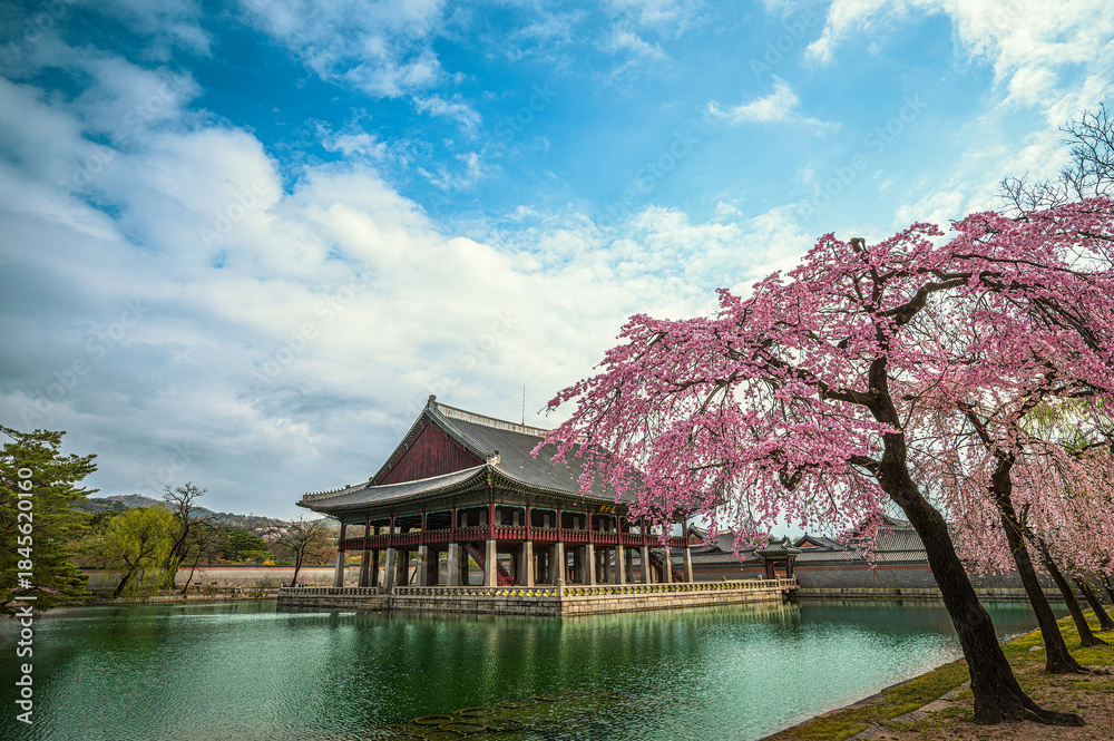 Seoul landmarks in spring, cherry blossom viewing spots in ...
