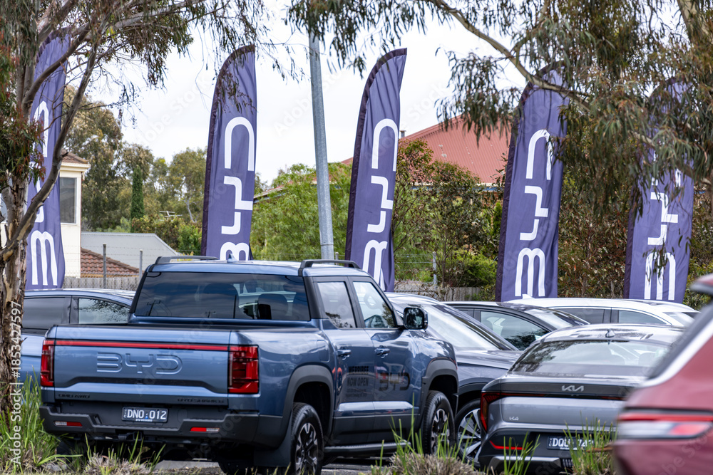 BYD logo on branded flags at an outdoor car dealership with a lineup of ...