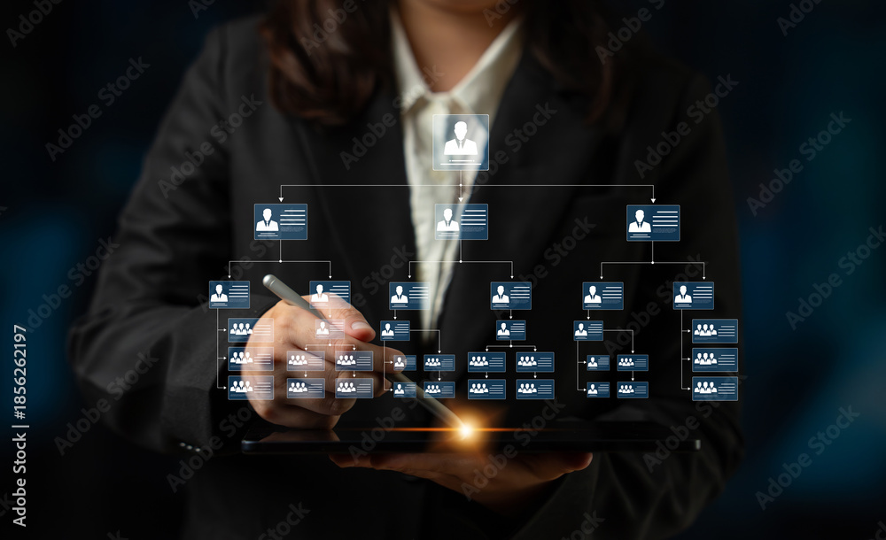Corporate org chart and team structure show hierarchy, team, and ...