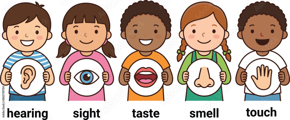 Five senses children illustration, hearing sight taste smell touch ...