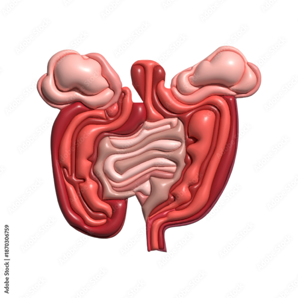 Cartoon human organs, brain, stomach, kidneys, intestine and ...