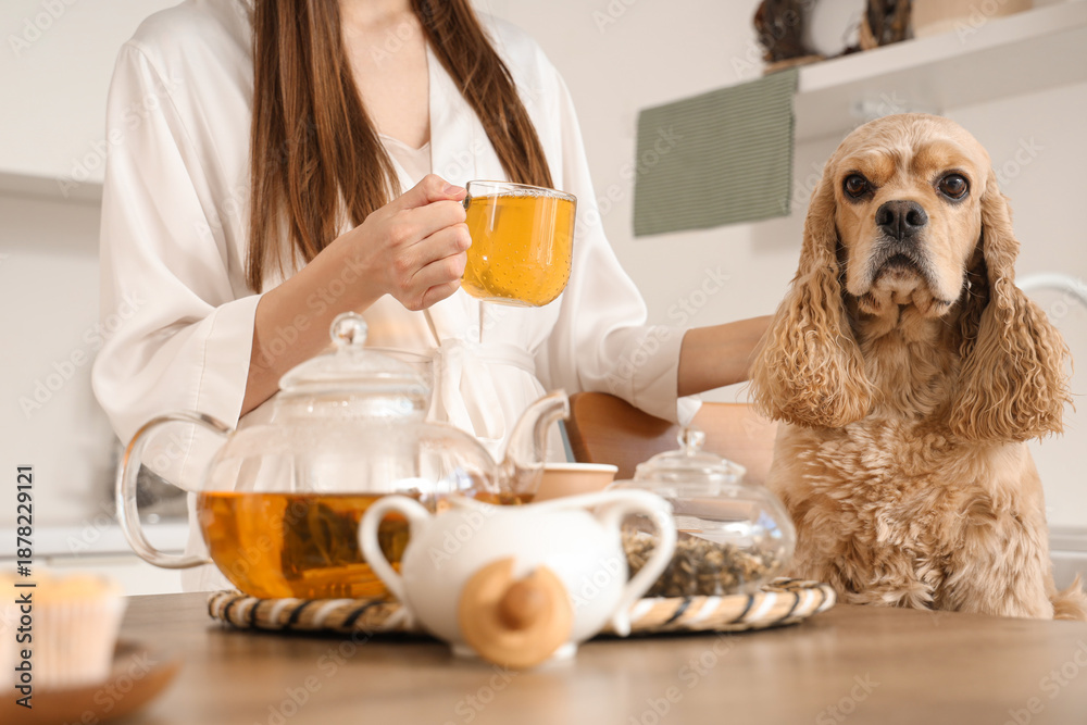 Beautiful young woman and cute Cocker Spaniel dog with cup of green tea ...