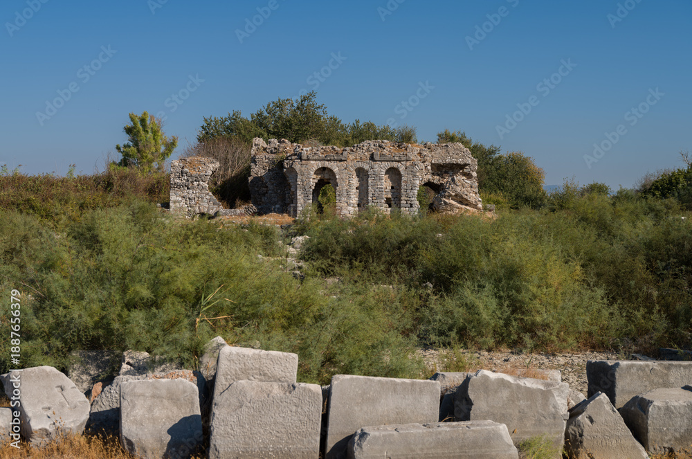 Miletos (Milet) archaeological site. Miletus is an ancient harbour city ...