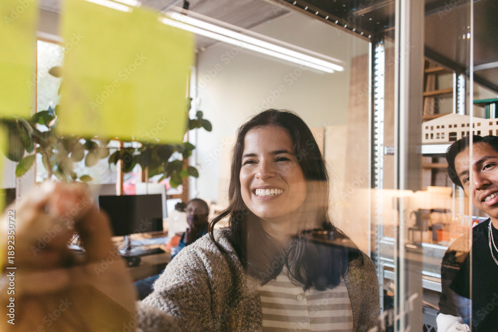 Smiling female design professional writing pointers on glass door ...