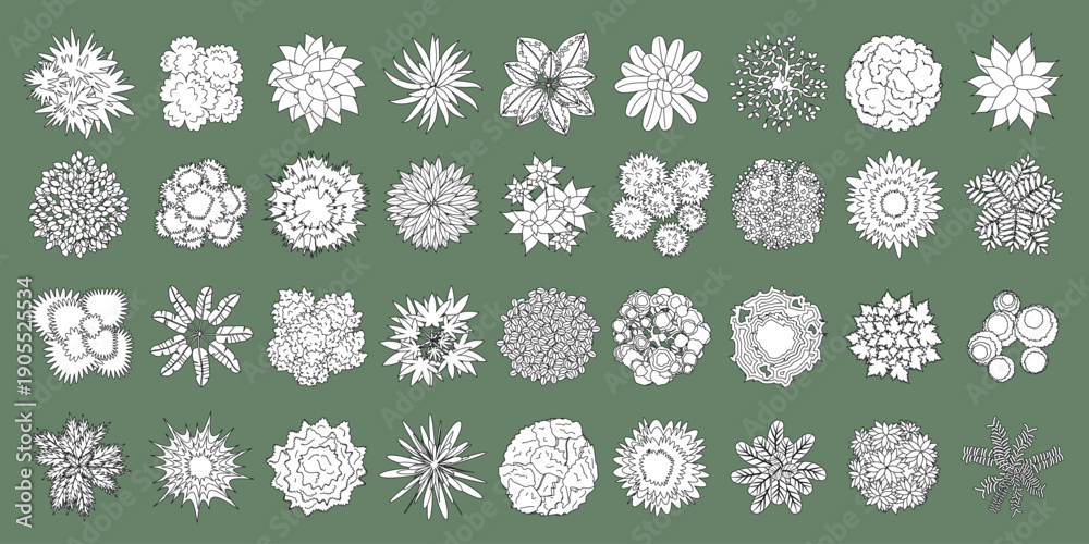 Vector set. Trees, bushes and plants. Top view. Collection for ...