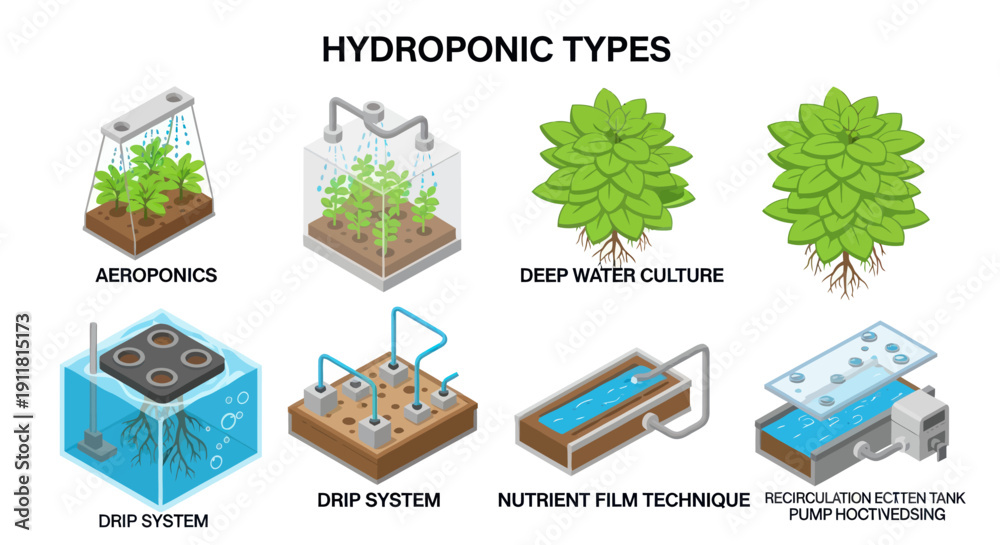 Hydroponic Systems Types and Methods Explained. の Stock ベクター | Adobe Stock