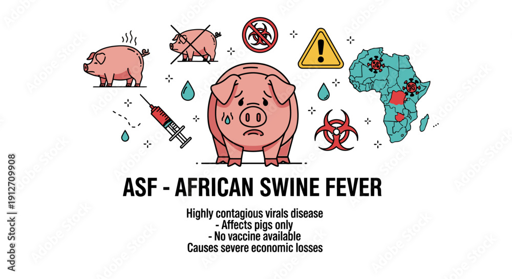 African Swine Fever (ASF) medical infographic with pig icons and Africa ...