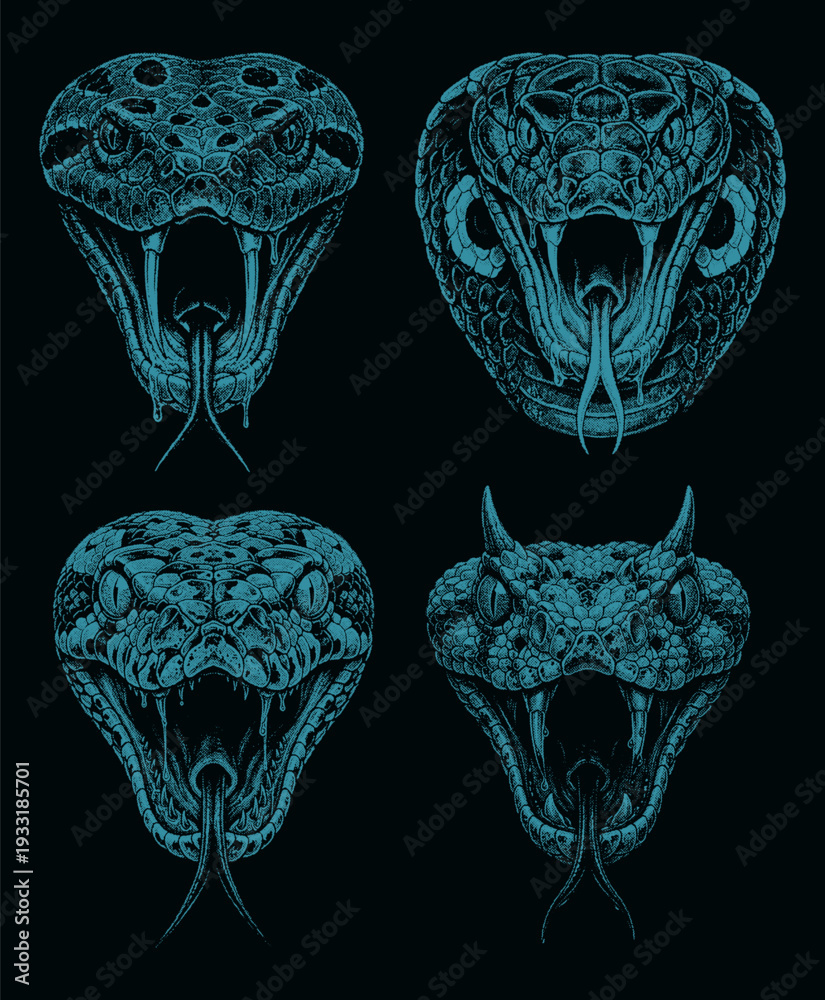 Vector four detailed monochrome illustrations of venomous snake heads ...