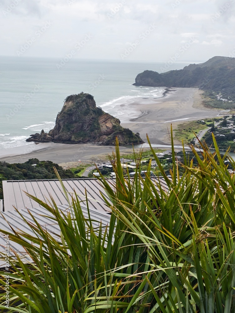 Elevated Panoramic View of Piha Beach and Lion Rock from Hilltop ...