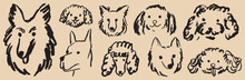 Abstract Dog Scribble Art Free Stock Photo - Public Domain Pictures