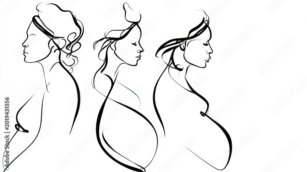 Three continuous line drawings depict the stages of pregnancy, showing ...