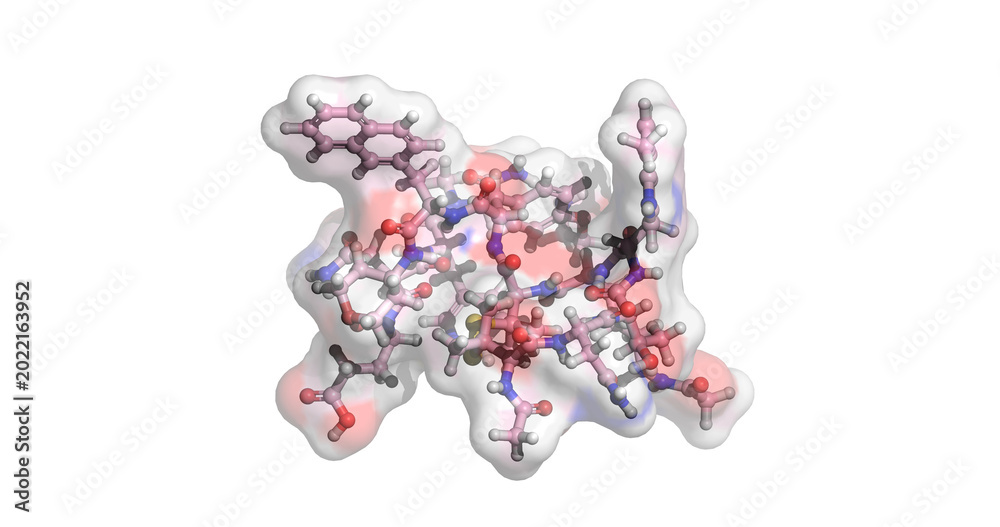 Icotrokinra, oral biologic for plaque psoriasis, 3D molecule 4K Stock ...